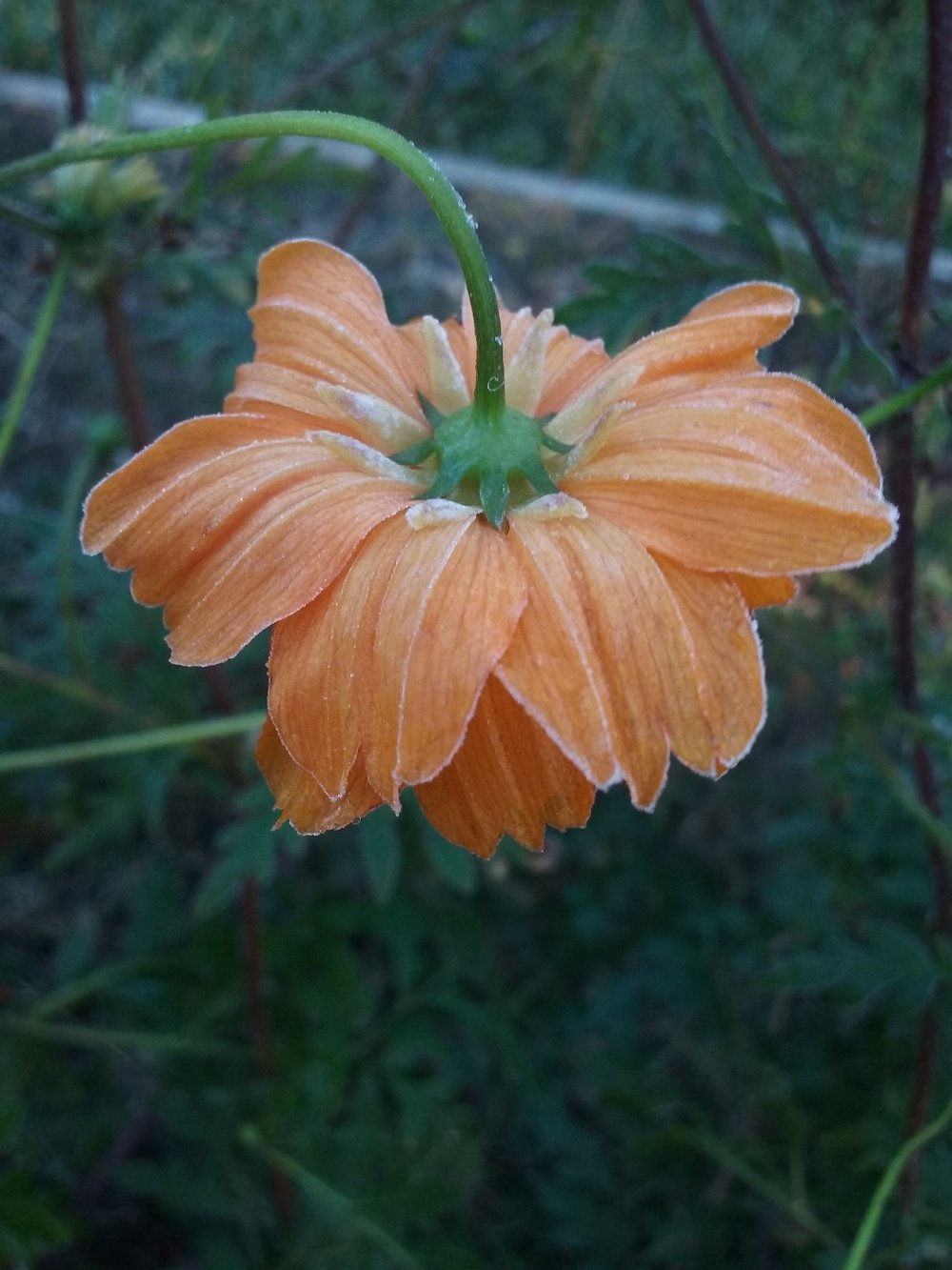 Welcome to my studio… – Erica St. Amanze